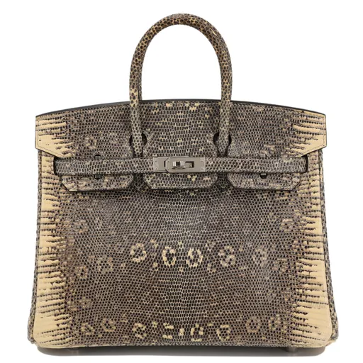 HERMÈS Lizard Birkin 25 handbag in Ombre with Palladium hardware