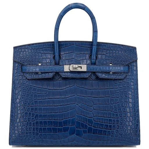 HERMÈS Limited Edition Matte Porosus Crocodile Birkin 25 Sellier ...
